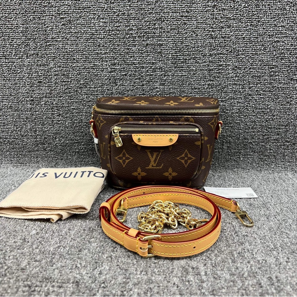 Louis Vuitton Mini Bum Bag 100% Authentic Hardware St… - Gem